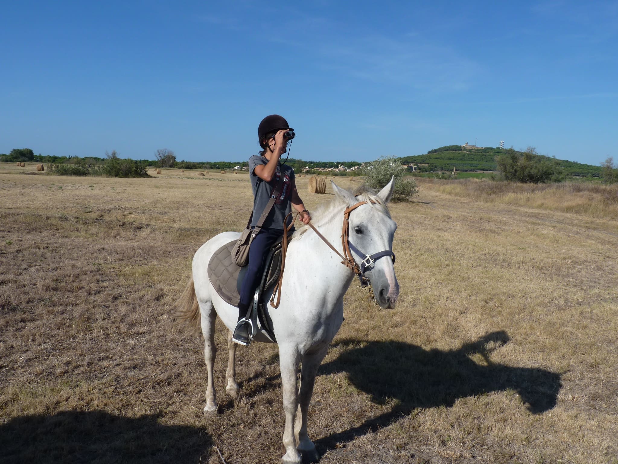 ADENA : Le trésor caché, voyage équestre au Bagnas - Ville de Marseillan